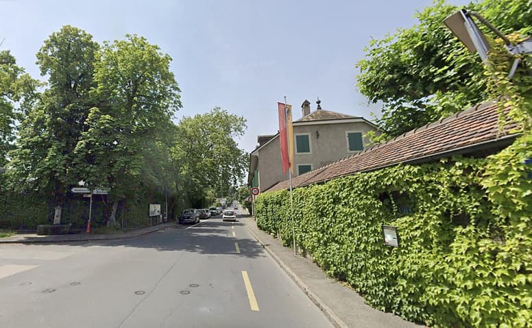 Annonces immobilier à vendre en Suisse Maison à Vésenaz - Genève