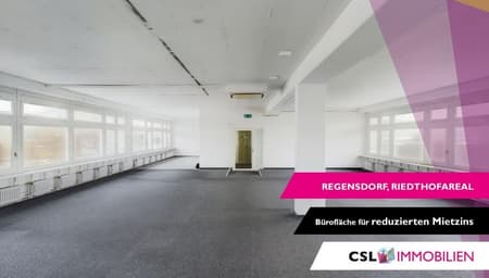 CSL Immobilien AG – 8052 Zürich-ZH, 9 properties | ImmoScout24