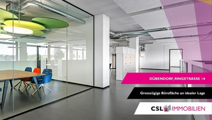 CSL Immobilien AG – 8052 Zürich-ZH, 25 properties | Homegate