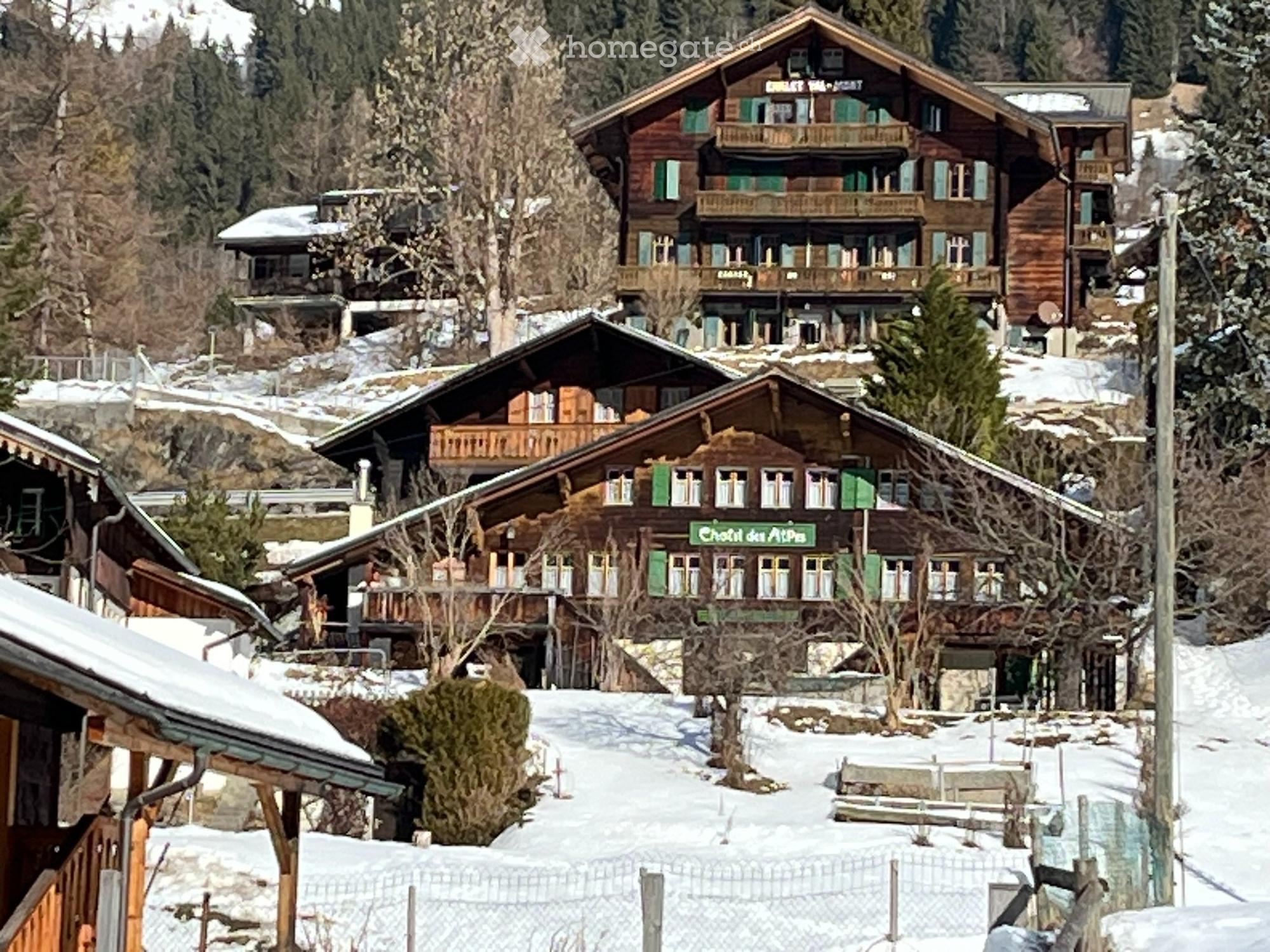 studio, route du Pillon 96,chalet des Alpes, CHF 800