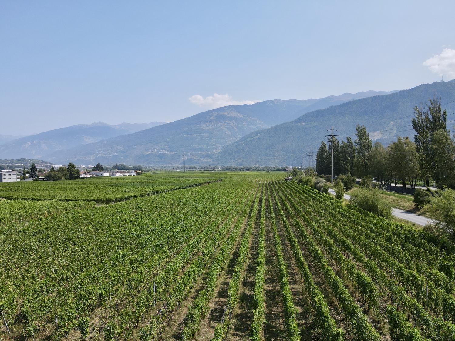 Les Amignes - 3.5 pièces attique, vue ex..., Route de la Lizerne 15 ...