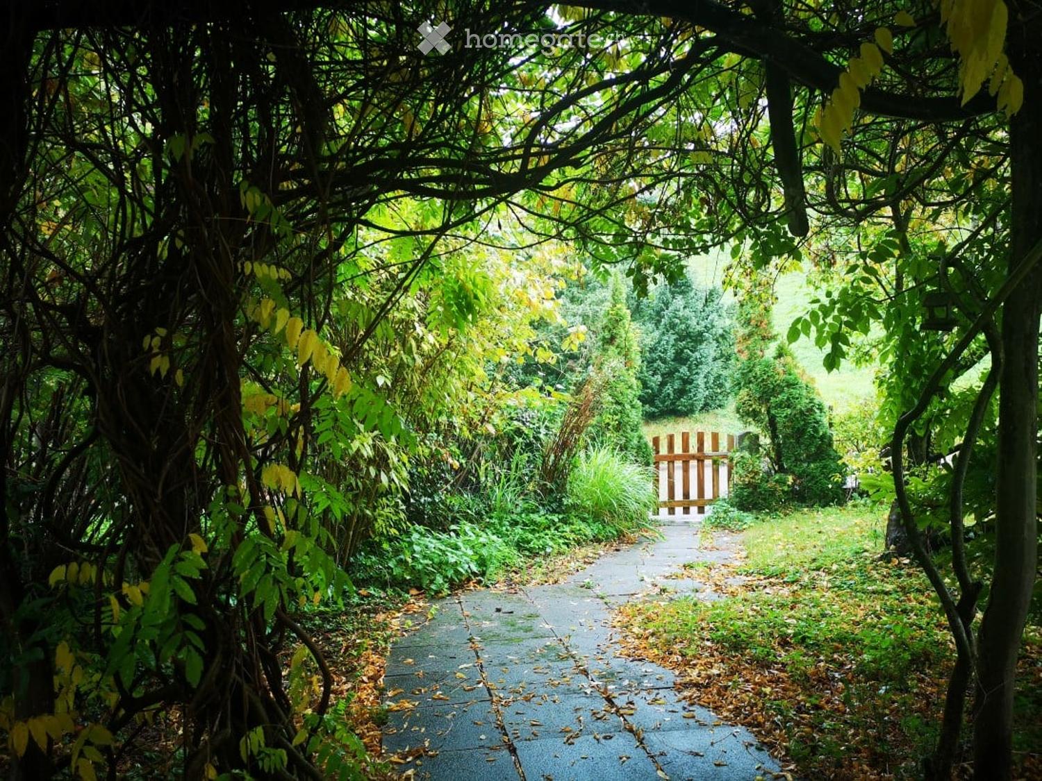 2.5 Zimmer Wohnung in Augst BL, Dachgesc..., Giebenacherstrasse 16, CHF ...