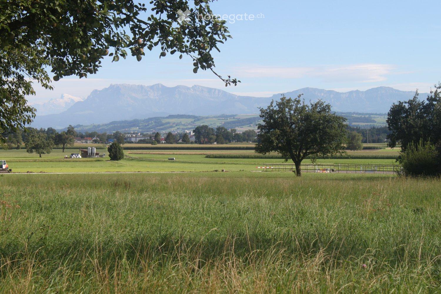 4 1/2 Zimmer-Attika-Wohnung, Bifangstrasse 26, CHF 2500