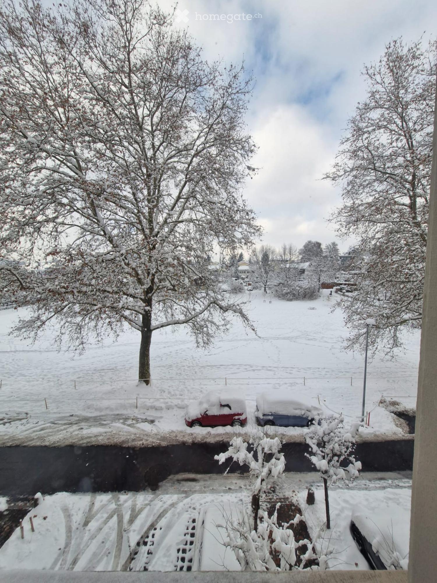 Helle 4-Zimmer-Wohnung (84 m²) mit Lift ..., Schönaustrasse 39, CHF 1700