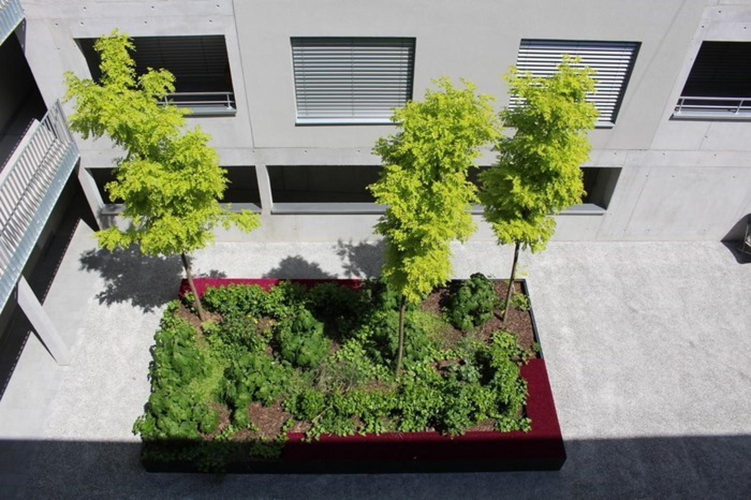 Moderne 3½-Zimmerwohnung zu vermeiten, Sonnenstrasse 2b, CHF 1670