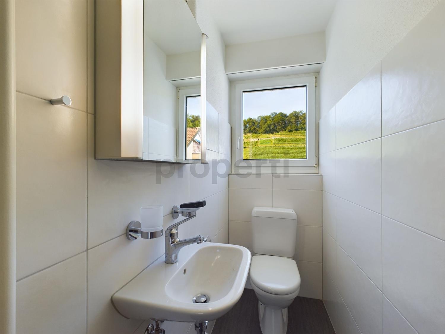 Helle 4.5-Zimmer-Wohnung in Thal mit traumhafter Terrasse