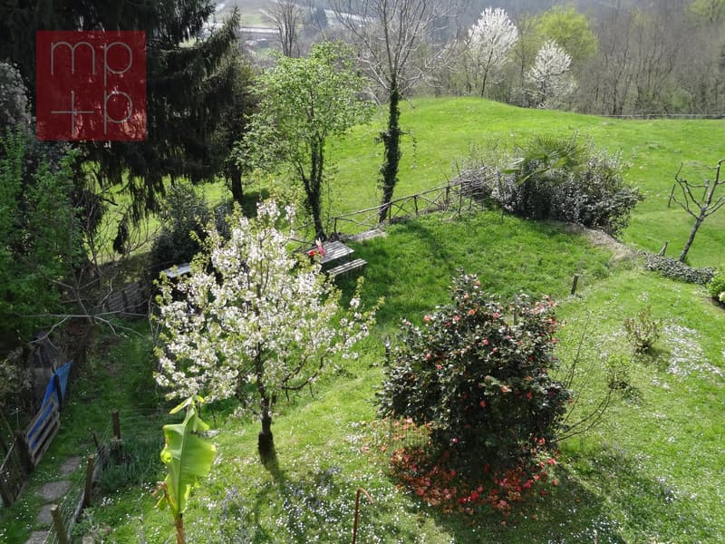 Haus kaufen in Monteggio | homegate.ch