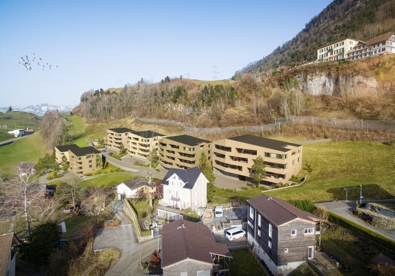 Wohnung & Haus mieten in 6405 (Immensee) | homegate.ch