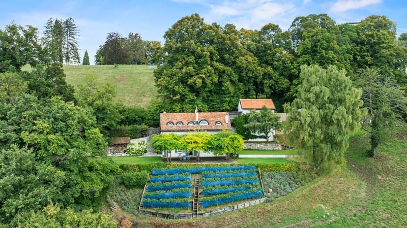 Propriété de charme avec vue panoramique située à Puidoux | homegate.ch