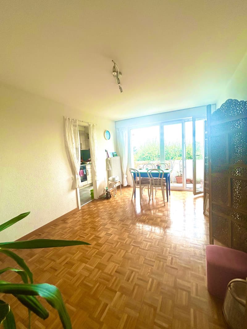 Lumineux appartement à louer avec jardin, Porcena 8, CHF 1170 | homegate.ch