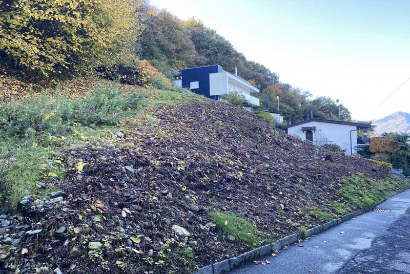TERRENO EDIFICABILE CON STUPENDA VISTA LAGO-GERRA GAMBAROGNO
