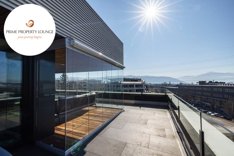 Renovierte Attikawohnung mit grosser Terrasse | homegate.ch