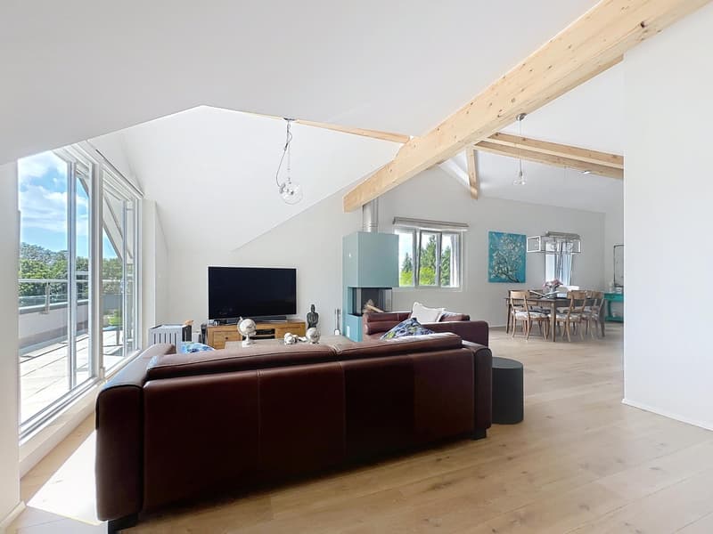 Magnifique attique avec parc arborisé commun