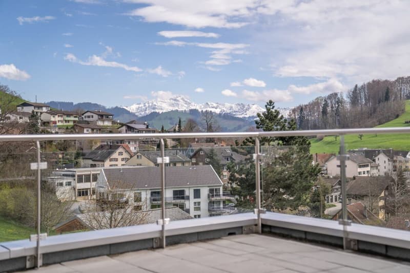 Zu vermieten, grosse 3.5-Zimmer-Attika-W..., Feldstrasse 1a, CHF 2400 | homegate.ch