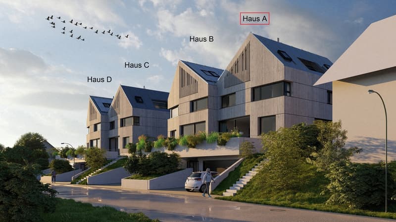 Neubauprojekt Allmendgasse mit vier 7.5-..., Allmendgasse 21, CHF 2490000 | homegate.ch