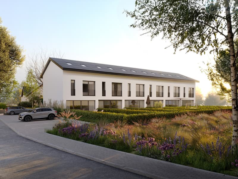 Neubauprojekt: 6 moderne Reiheneinfamili..., Brislacherstrasse 59, CHF 1238000 | homegate.ch