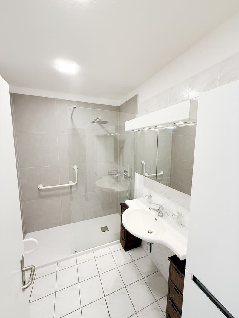 Bellissimo 4,5 ristrutturato con terrazza e vista a Lugano Ronchetto