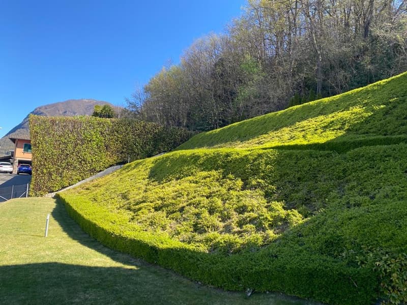 Interessante terreno edificabile con meravigliosa vista lago.