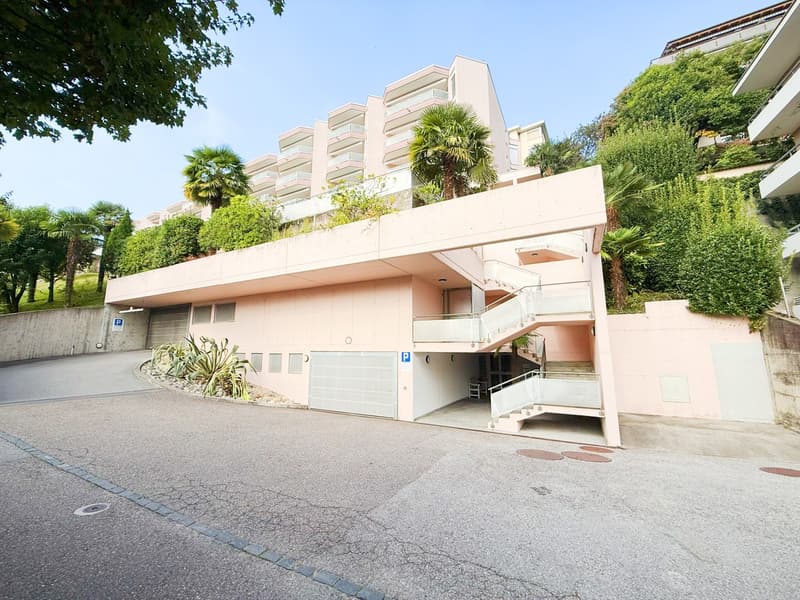 Bellissimo 4,5 ristrutturato con terrazza e vista a Lugano Ronchetto