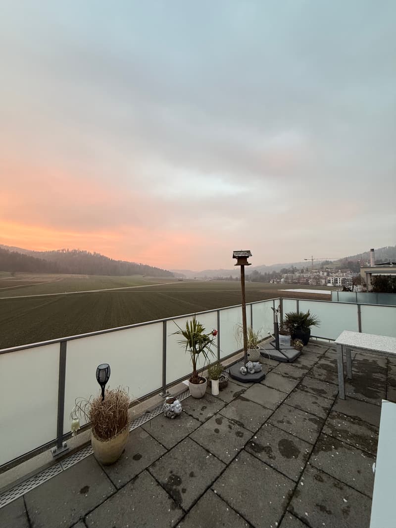 Wunderschöne 3,5 Zimmer Attika-Wohnung m..., Florahof 7, CHF 2680 | homegate.ch