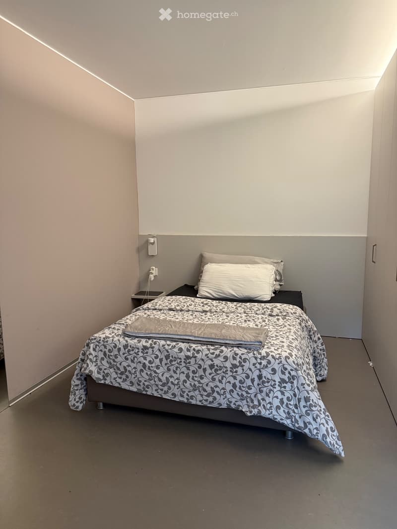 Cerco subentrante a partire da febbraio.