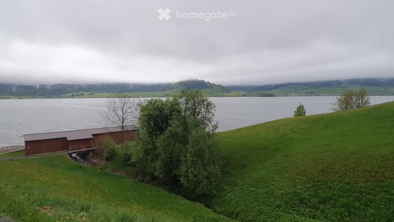 1,5 Zimmerwohnung (~35m2) - Seenähe (Shi..., Armbüel 4, CHF 780