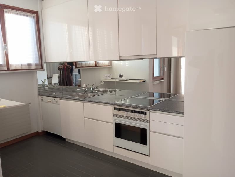 SPLENDIDO APPARTAMENTO CON VISTA MOZZAFIATO A CASTAGNOLA