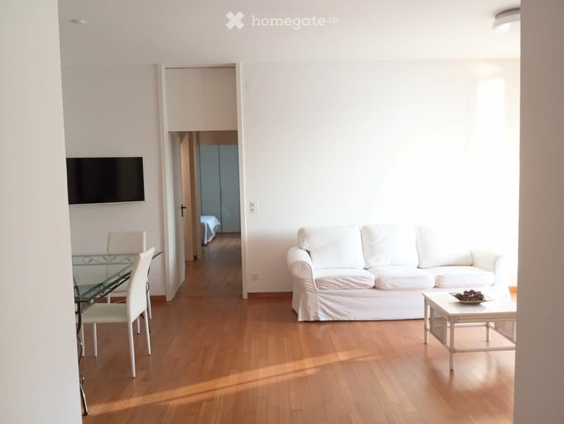 SPLENDIDO APPARTAMENTO CON VISTA MOZZAFIATO A CASTAGNOLA