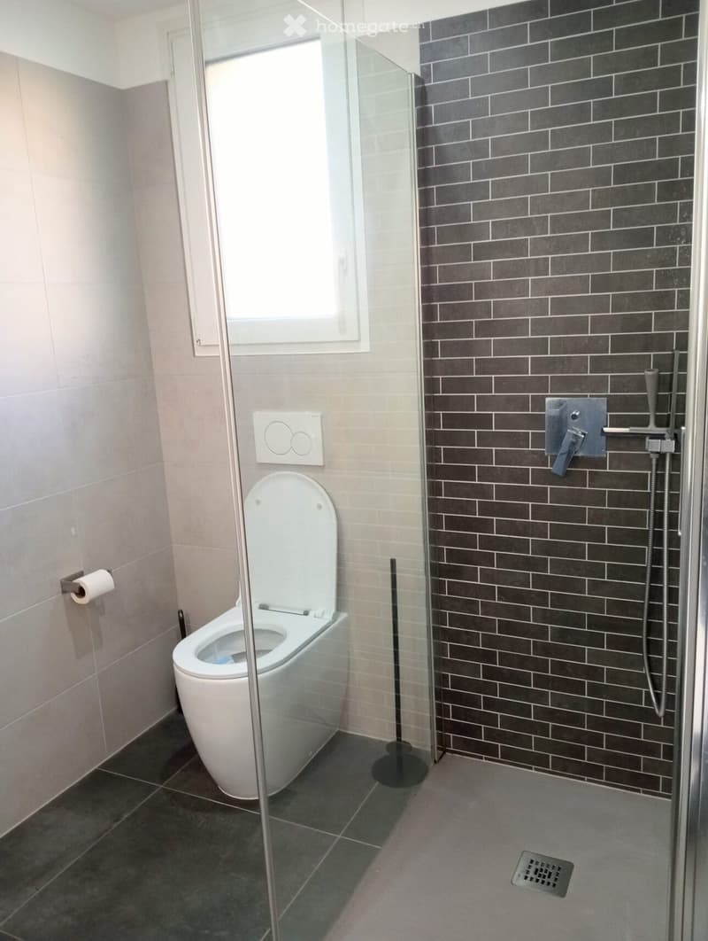 APPARTAMENTO MODERNO CON GIARDINO A LUGAGGIA