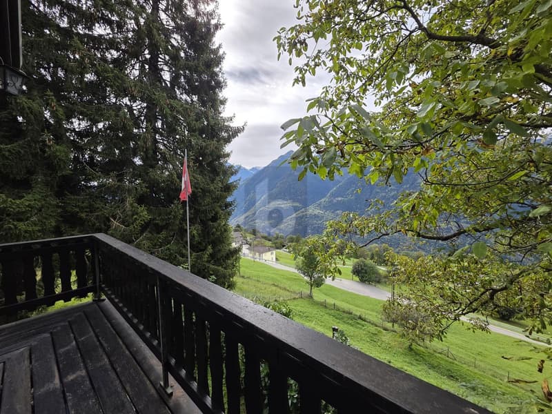 SOLEGGIATA IN POSIZIONE TRANQUILLA TRA LA NATURA