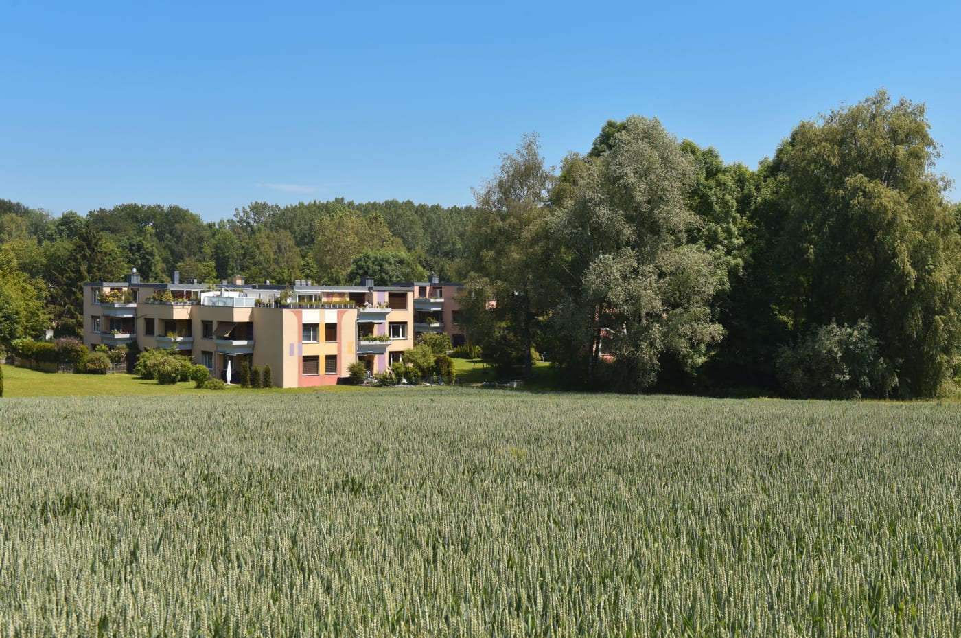 Immobilien mieten in 8600 (Dübendorf) | homegate.ch