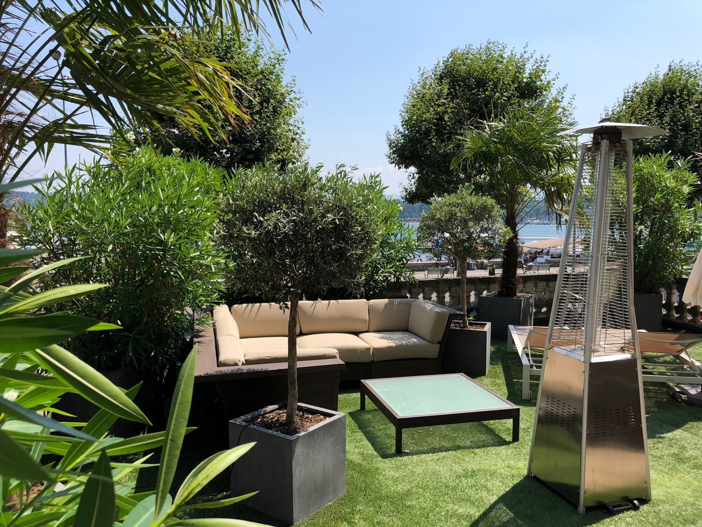 Appartement à louer in Genève | homegate.ch