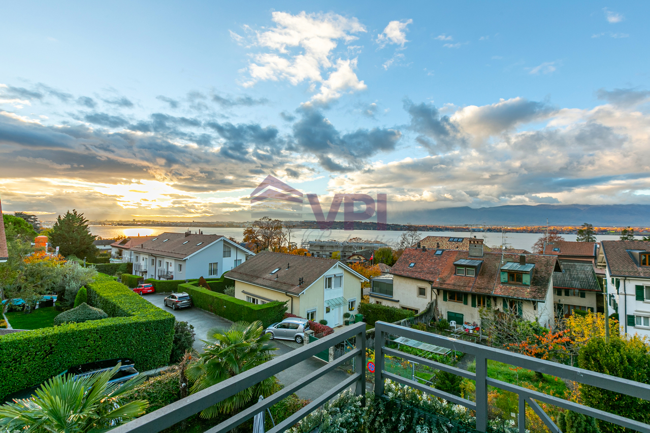 Maison, chalet, villa à vendre à Vésenaz | homegate.ch